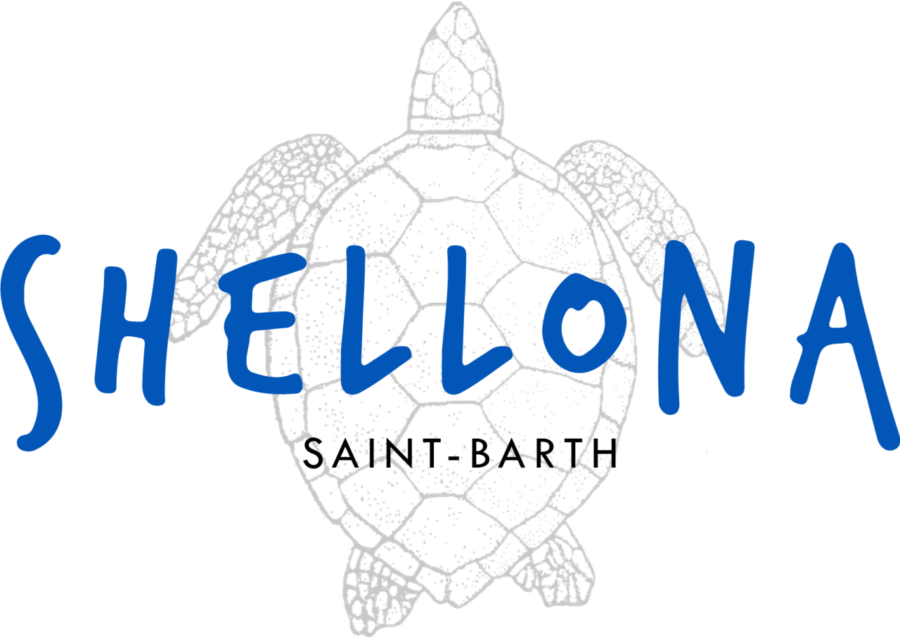 Shellona - Moma Sélection