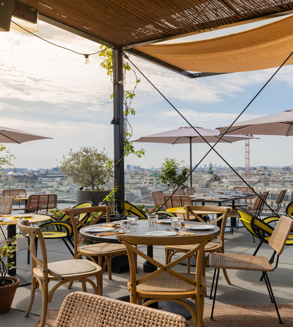 Créatures - Moma Sélection